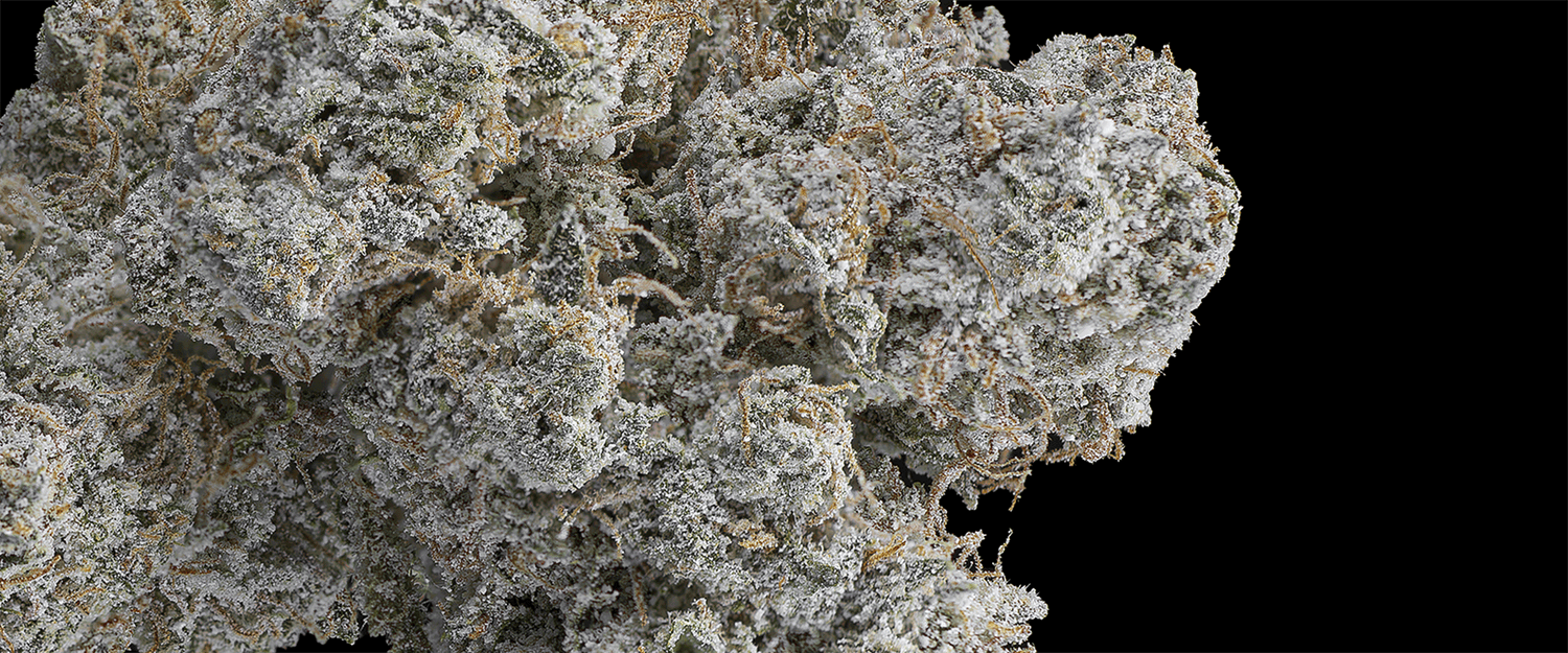 Super Pollen - 30% THCA 50G